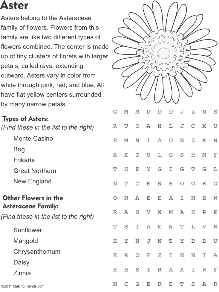 Flower Word Search Aster MakingFriends