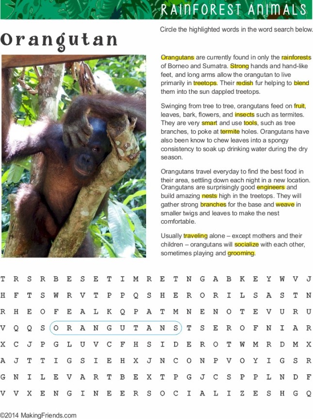 Fact Sheet and Word Search for Orangutan Habitat - MakingFriends