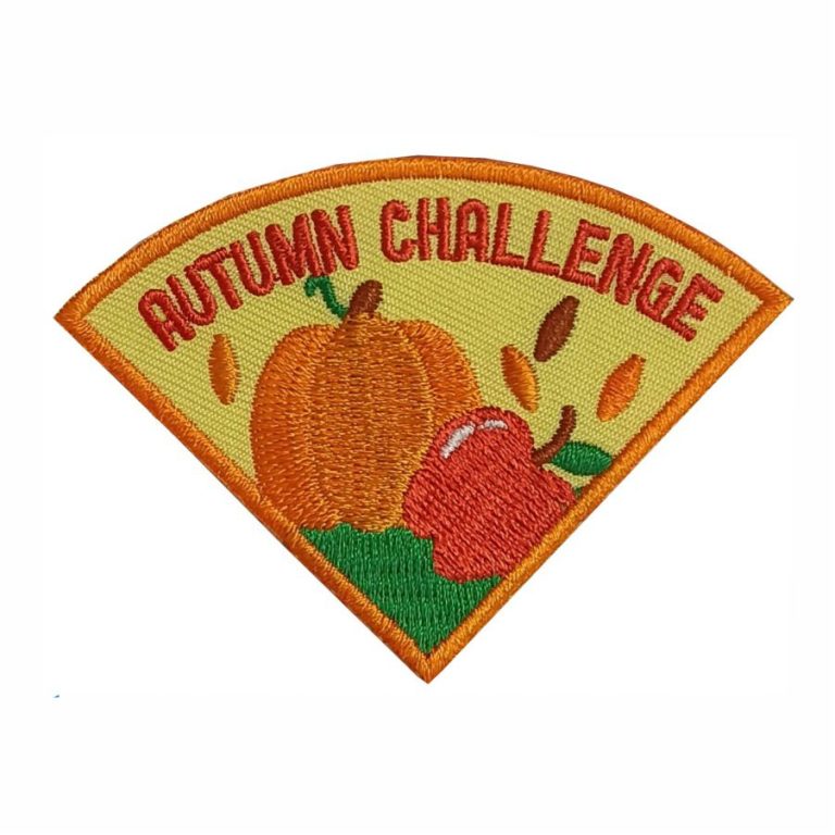 Four Seasons Challenge Patch Program® Group - MakingFriends