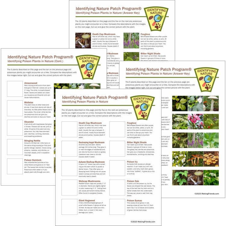Identifying Nature Patch Program® - MakingFriends