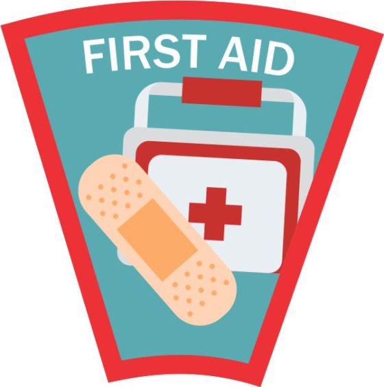 First Aid Patch Program® - MakingFriends