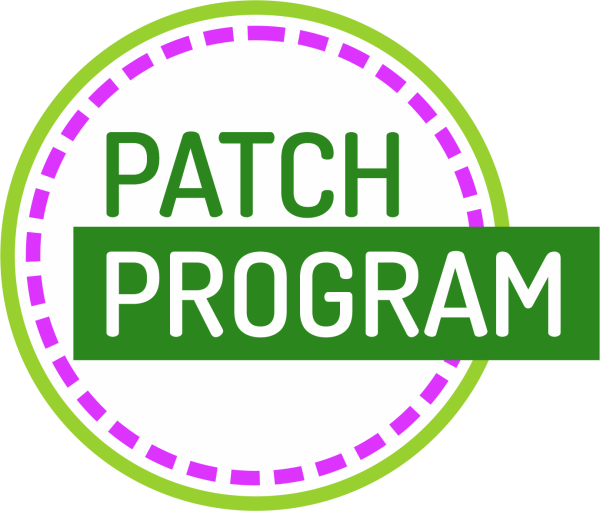 USA 250 Year Patch Program® - MakingFriends
